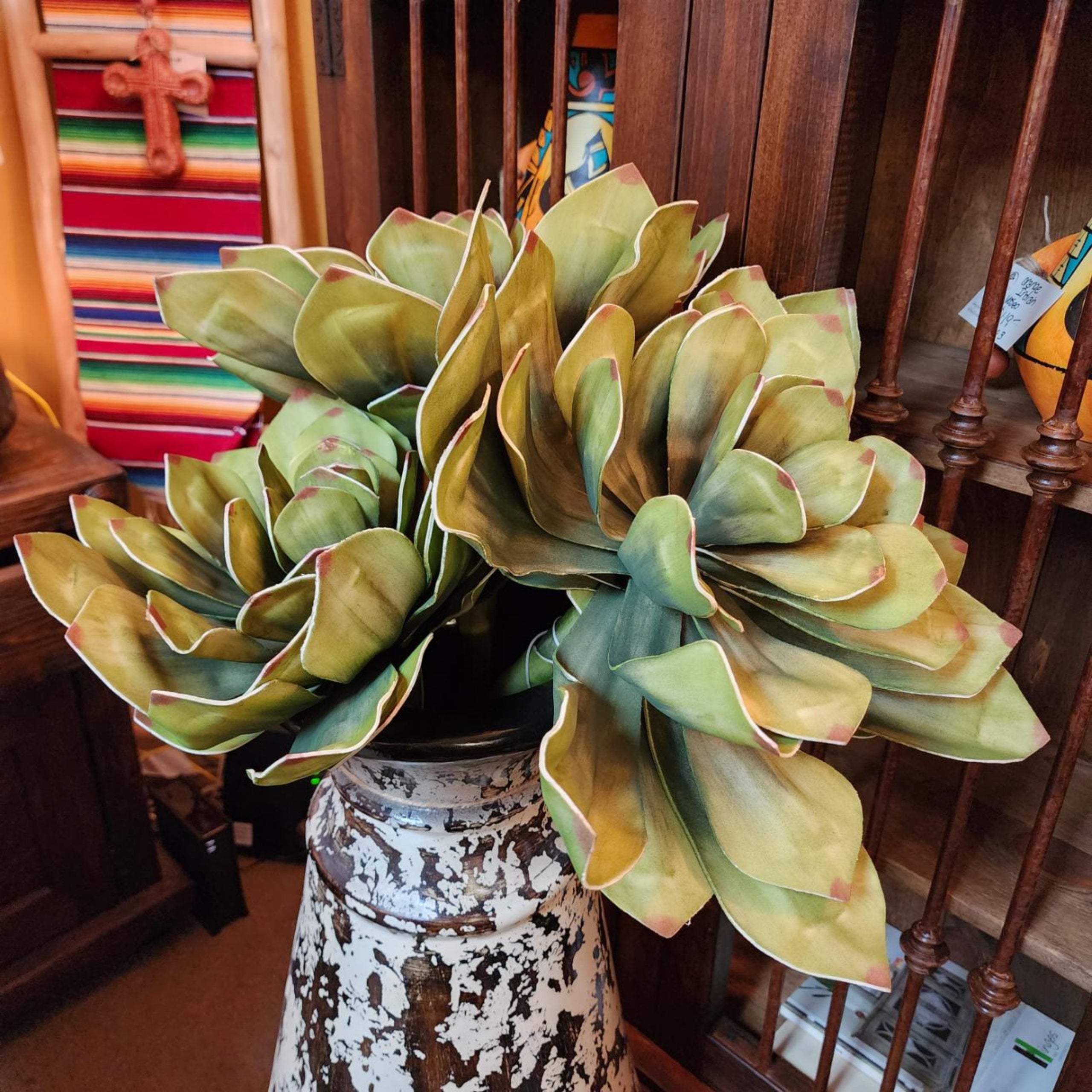 Botanical CLX1150 | Agave Ranch