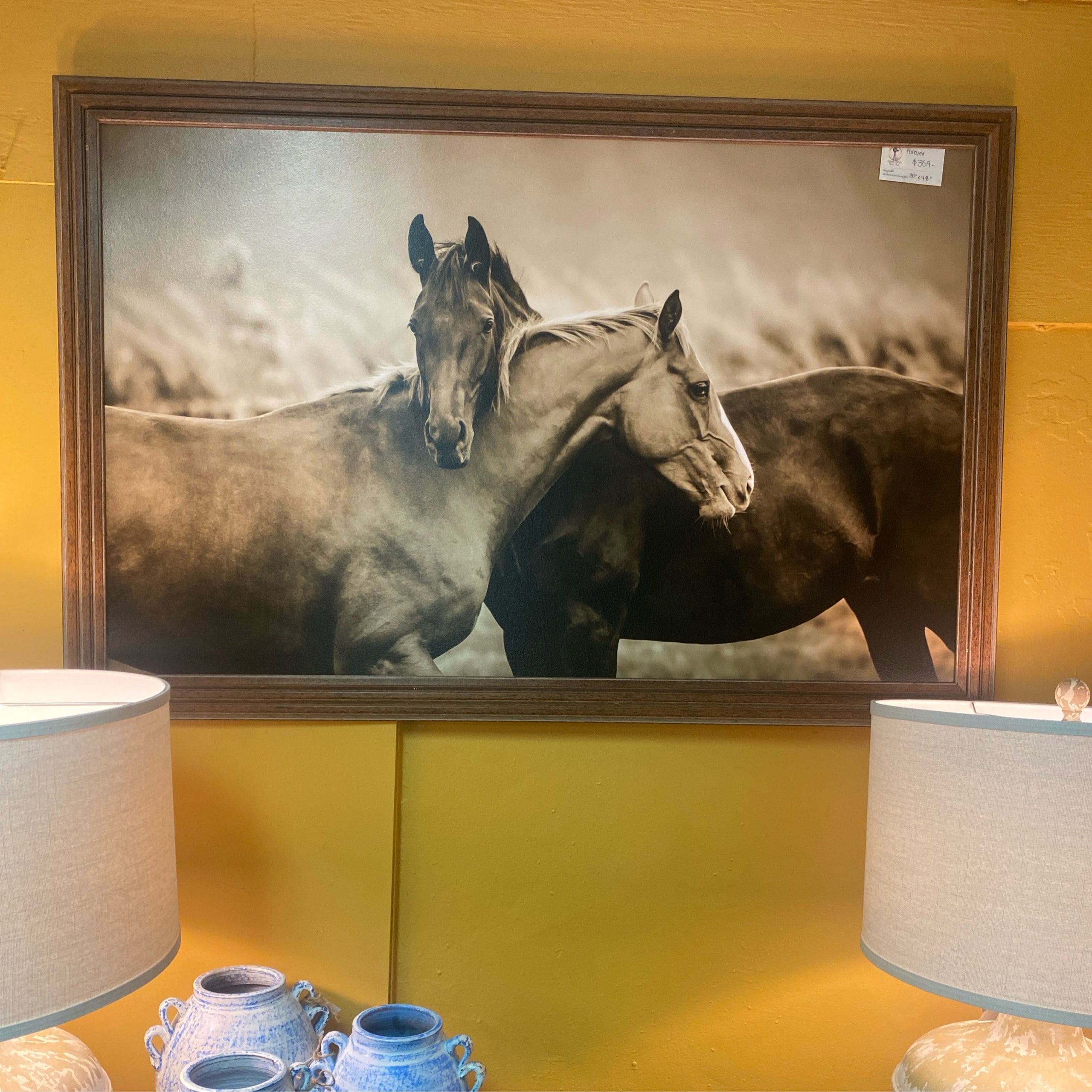 Forever Picture | Agave Ranch